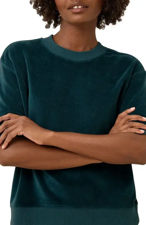 PACT Organic Cotton Velour Sweatshirt Tee - Celestial