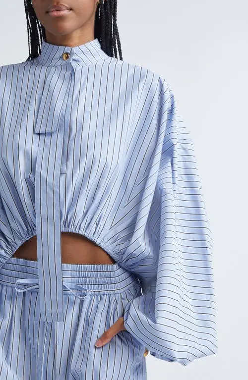 Zimmermann Stripe Poplin Crop Top
