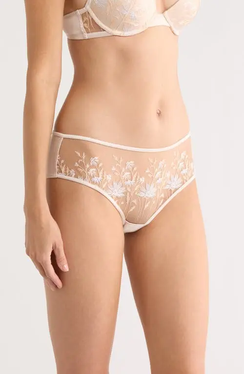 ETAM Champetre Embroidered Satin & Mesh Briefs