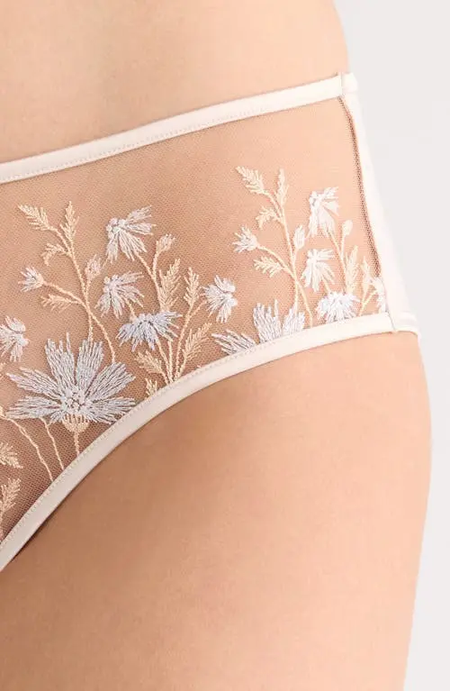 ETAM Champetre Embroidered Satin & Mesh Briefs