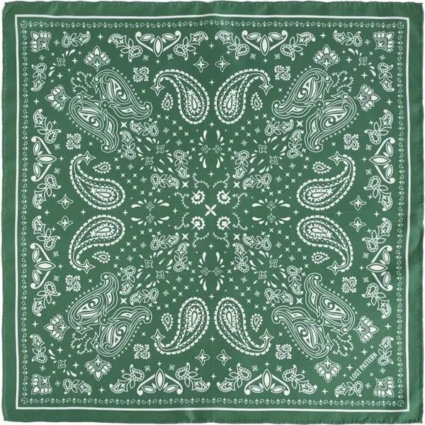 LOST PATTERN Paisley" Silk Bandana Scarf - Sagebrush Green