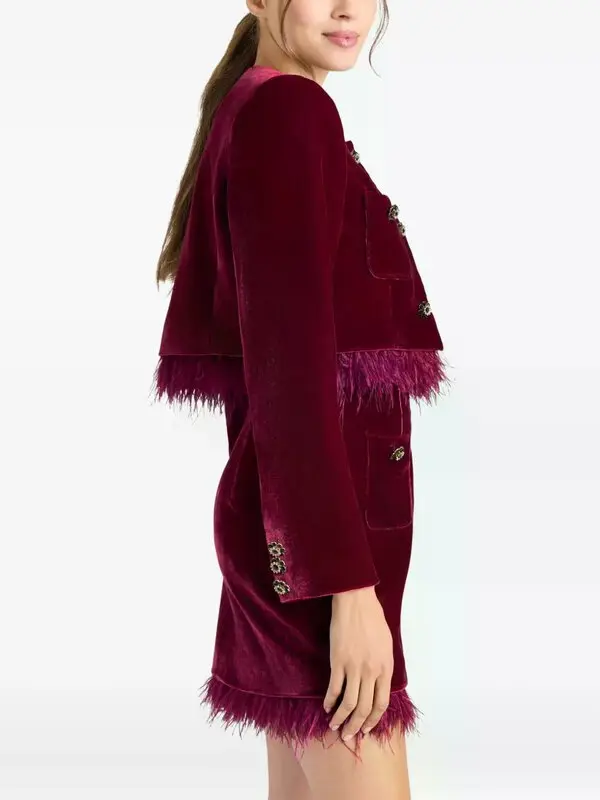 Cinq À Sept Evelina Velvet Jacket - Red