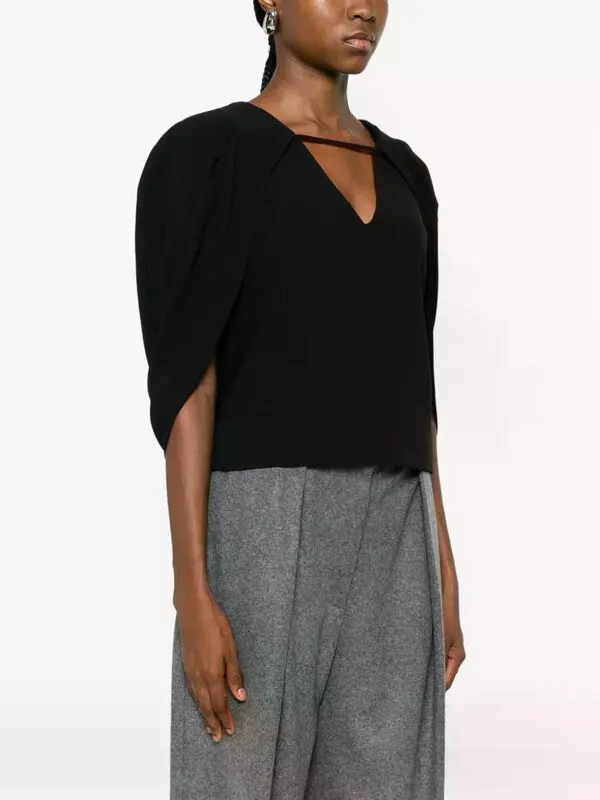 Alberta Ferretti Draped Blouse
