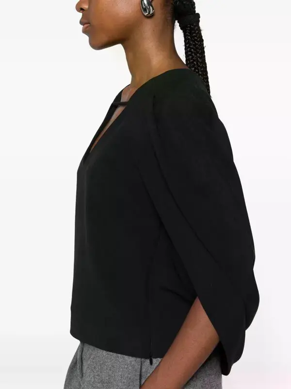 Alberta Ferretti Draped Blouse