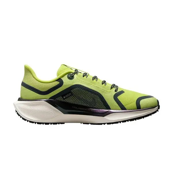 Nike Air Zoom Pegasus 41 Gore-tex