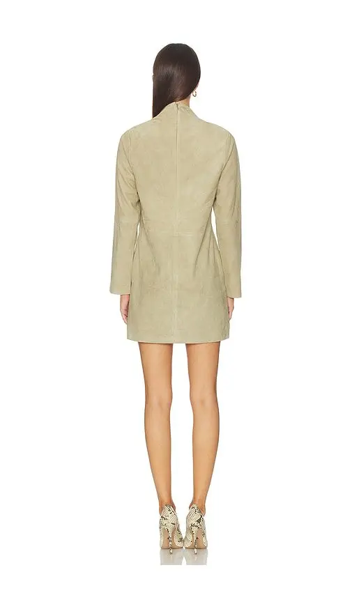 SRG Suede Dress