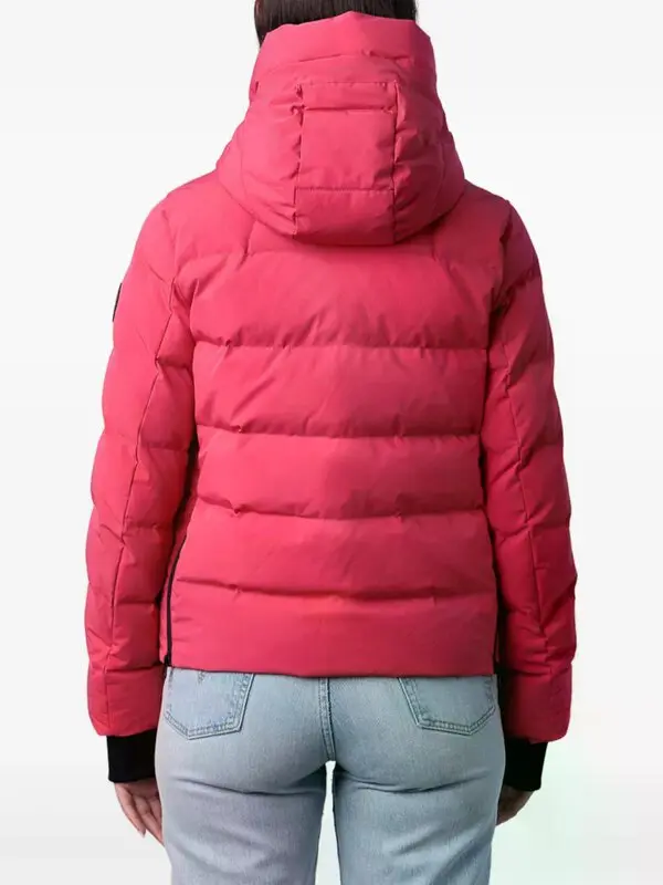 ANTARTICA Hooded Jacket