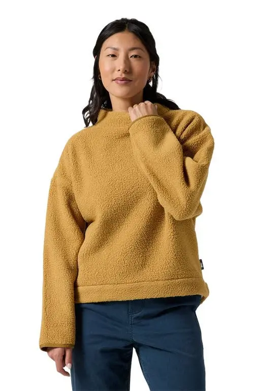 BACKCOUNTRY Wander Pile-fleece Mock-neck Top - Bistre Combo