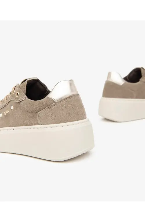 NEROGIARDINI Platform Suede Sneakers - Taupe