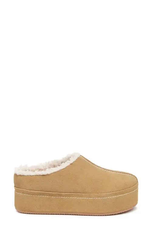 KELSI DAGGER BROOKLYN Torrence Faux Shearling Lined Platform Clog - Bison