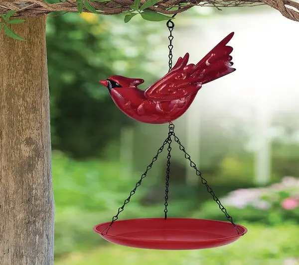 SUNSET VISTA DESIGNS Cardinal Bird Feeder