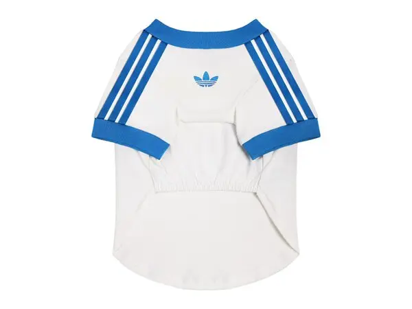 Adidas Pet Cali Tee Shirt - Hanyu White/bird Feather Blue