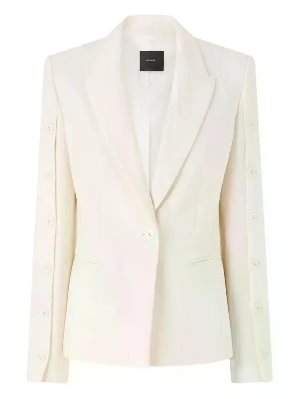 Pinko Button-detailed Blazer