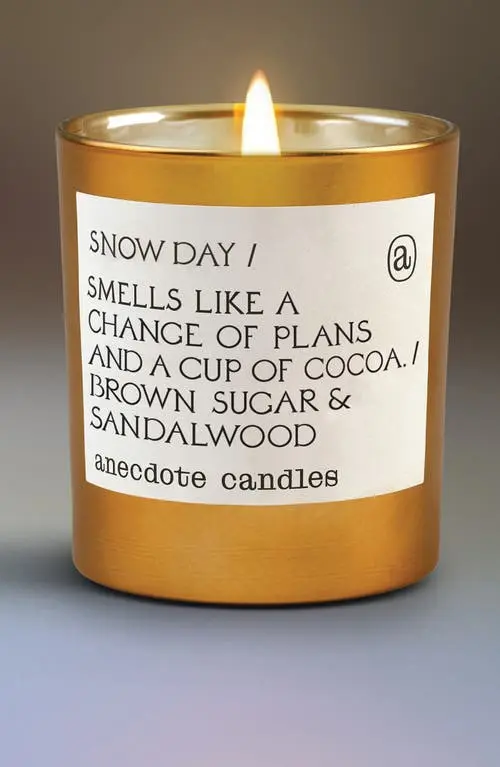 ANECDOTE CANDLES Snow Day Candle