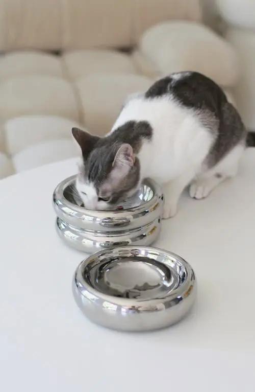CATENARY Halo Elevated Cat Bowl