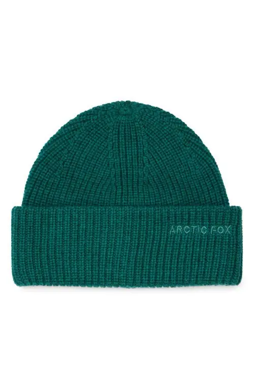 ARCTIC FOX & CO Embroidered Merino Wool Beanie - Alpine Fern