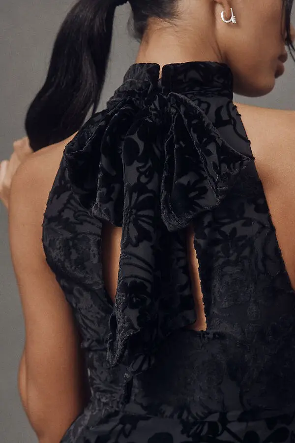 Bhldn Velvet Burnout High-neck Maxi Dress