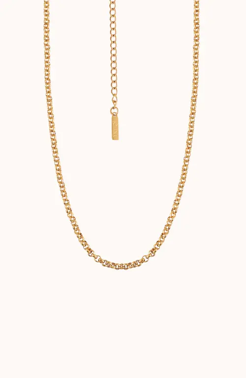 JOIANA JEWELRY The Everyday Belcher Chain - Gold