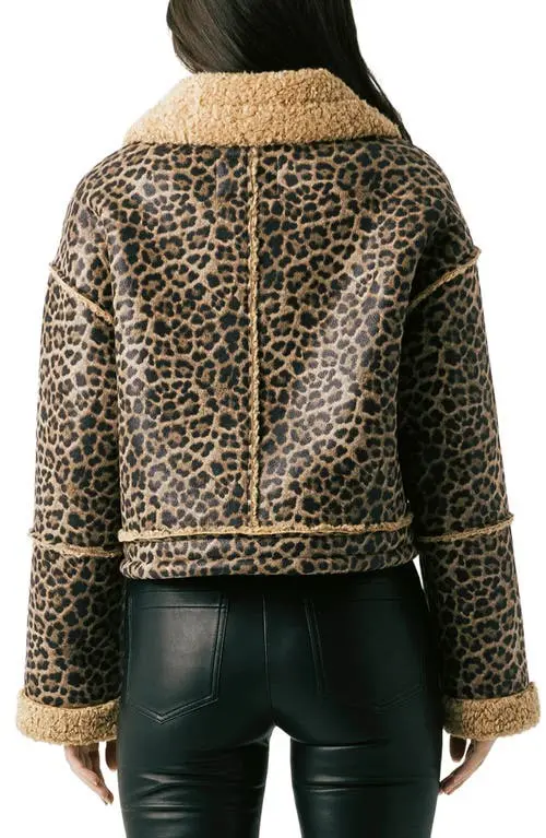 Blanknyc Bonded Leopard Print Faux Shearling Moto Jacket