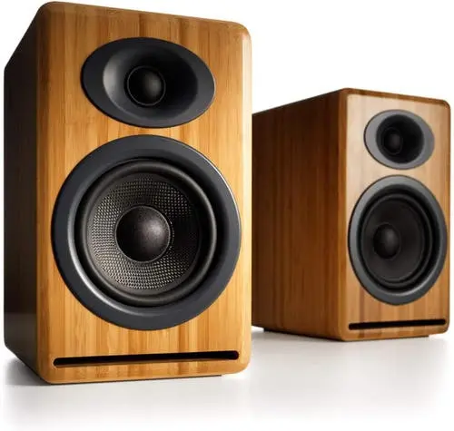 AUDIOENGINE P4 Passive Speakers - Bamboo