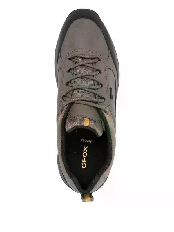 Geox Leather Trainers