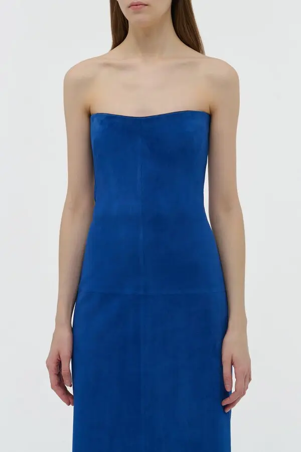 Gabriela Hearst Ivara Strapless Maxi Dress