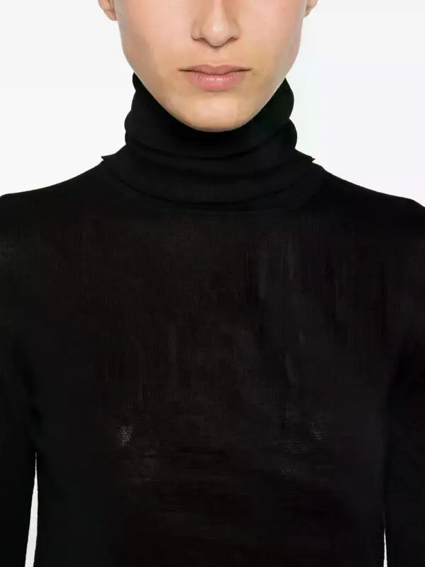 Max Mara Saluto Roll-neck Sweater