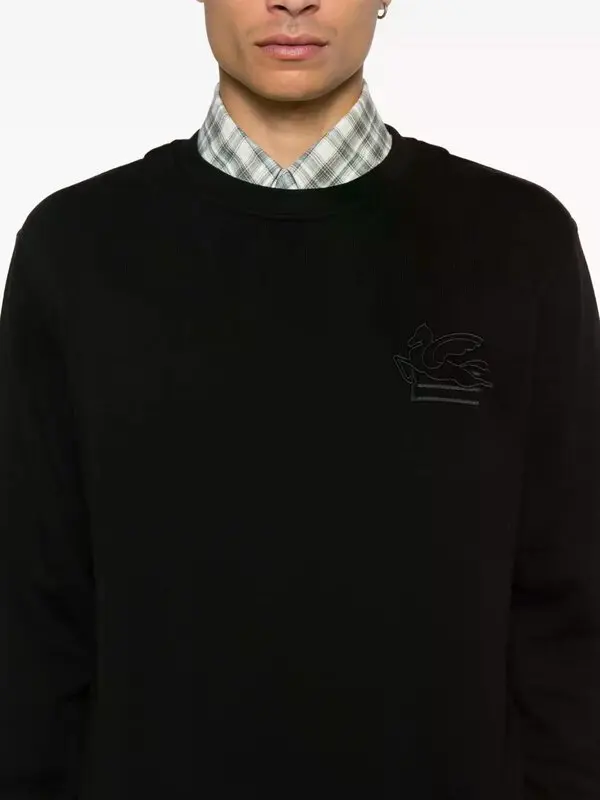 Etro Embroidered Crew Neck Sweatshirt
