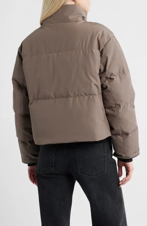 Canada Goose Grandview Black Label Cropped Puffer Jacket - Taupe Grey