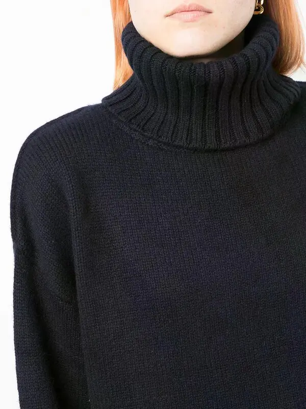 Extreme Cashmere Xtra Oversized Roll-neck Jumper
