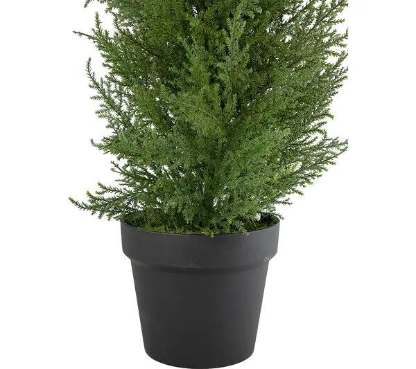 NORTHLIGHT 3' Artificial Pine Arborvitae Tree I Pot Unlit