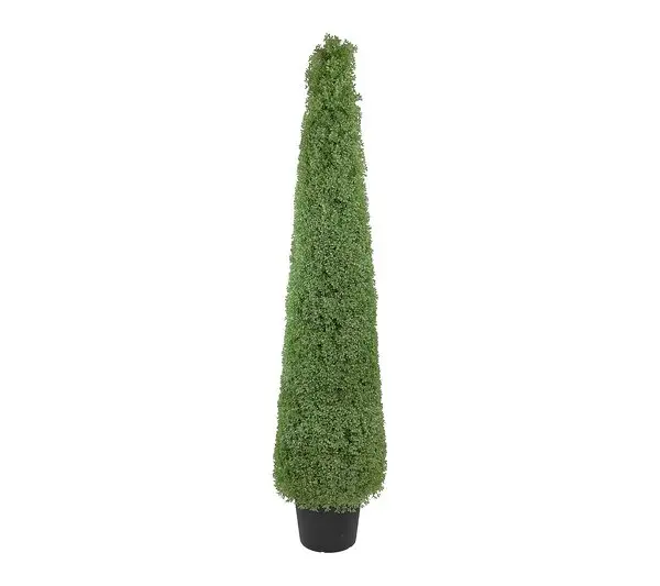 NORTHLIGHT 6' Boxwood Cone Topiary Tree In Roun Pot - One-color