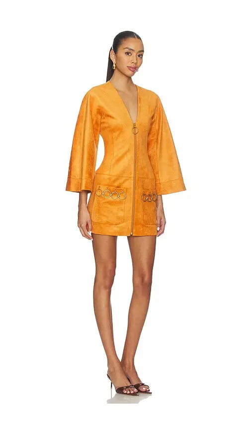 Alexis Anesa Dress