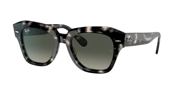 Ray-ban State Street Fleck Sunglasses