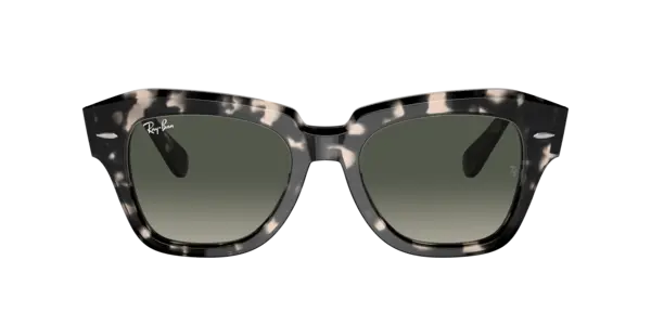 Ray-ban State Street Fleck Sunglasses