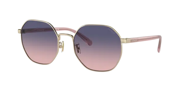 COACH Sunglasses - Blue Pink Gradient