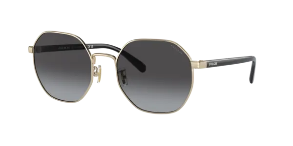 COACH Octagon Full Rim Sunglasses - Grey Gradient