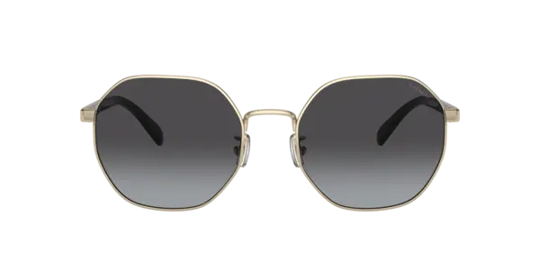 COACH Octagon Full Rim Sunglasses - Grey Gradient