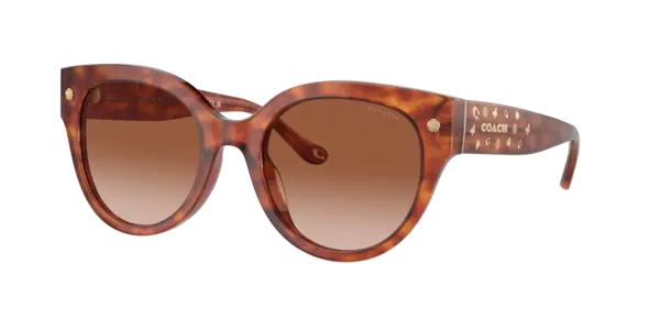 COACH Sunglasses With Tortoiseshell Frame - Brown Gradient