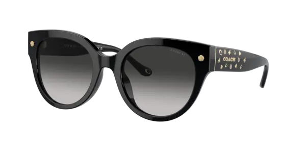 COACH Sunglasses - Grey Gradient