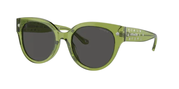 COACH Sunglasses With Tortoiseshell Frame - Grey Solid