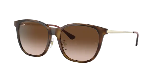 Ray-ban Sunglasses - Brown Gradient