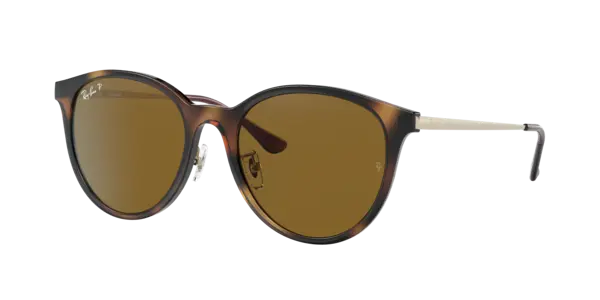 Ray-ban Full Rim Sunglasses - B-15 Brown
