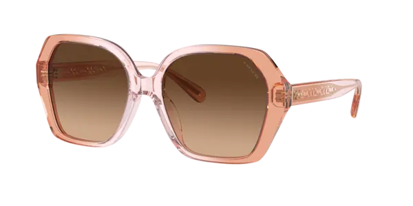 COACH Sunglasses - Brown Gradient