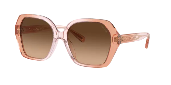 COACH Sunglasses - Brown Gradient