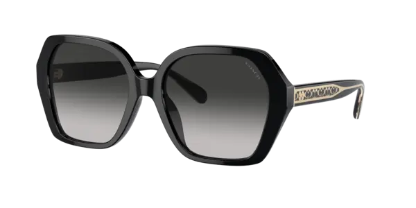 COACH Sunglasses - Grey Gradient