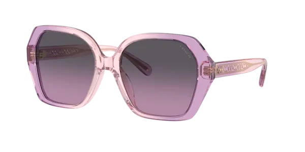 COACH Sunglasses - Purple Gradient