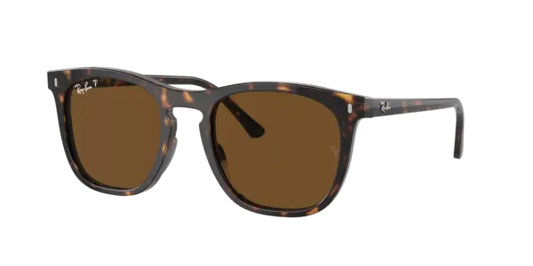 Ray-ban Full Rim Sunglasses - Brown