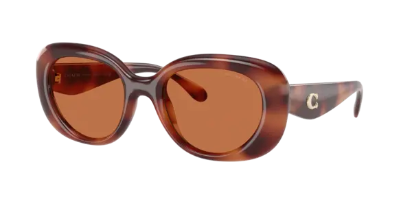 COACH Full Rim Sunglasses - Brown Solid