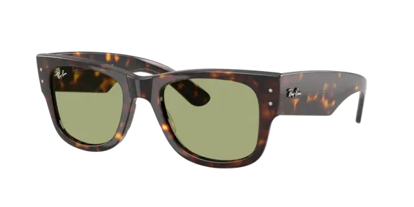 Ray-ban Wayfarer Sunglasses - Brown